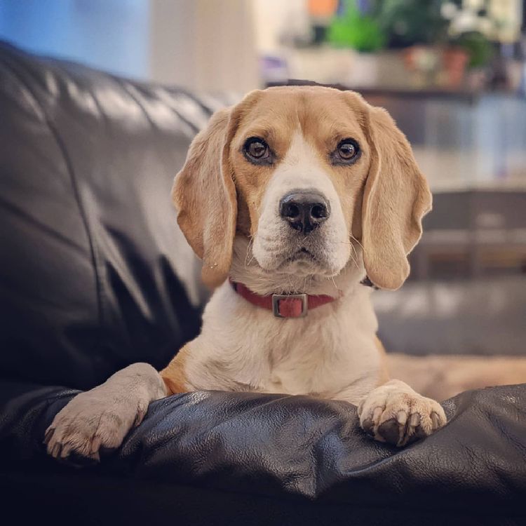 Encausse.net – Weekly #35 – Encausse.net